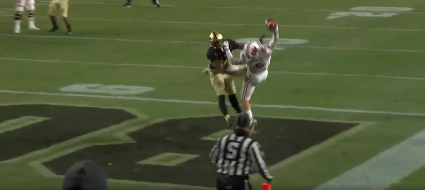 WATCH: Wisconsin's Danny Davis hauls in insane TD catch